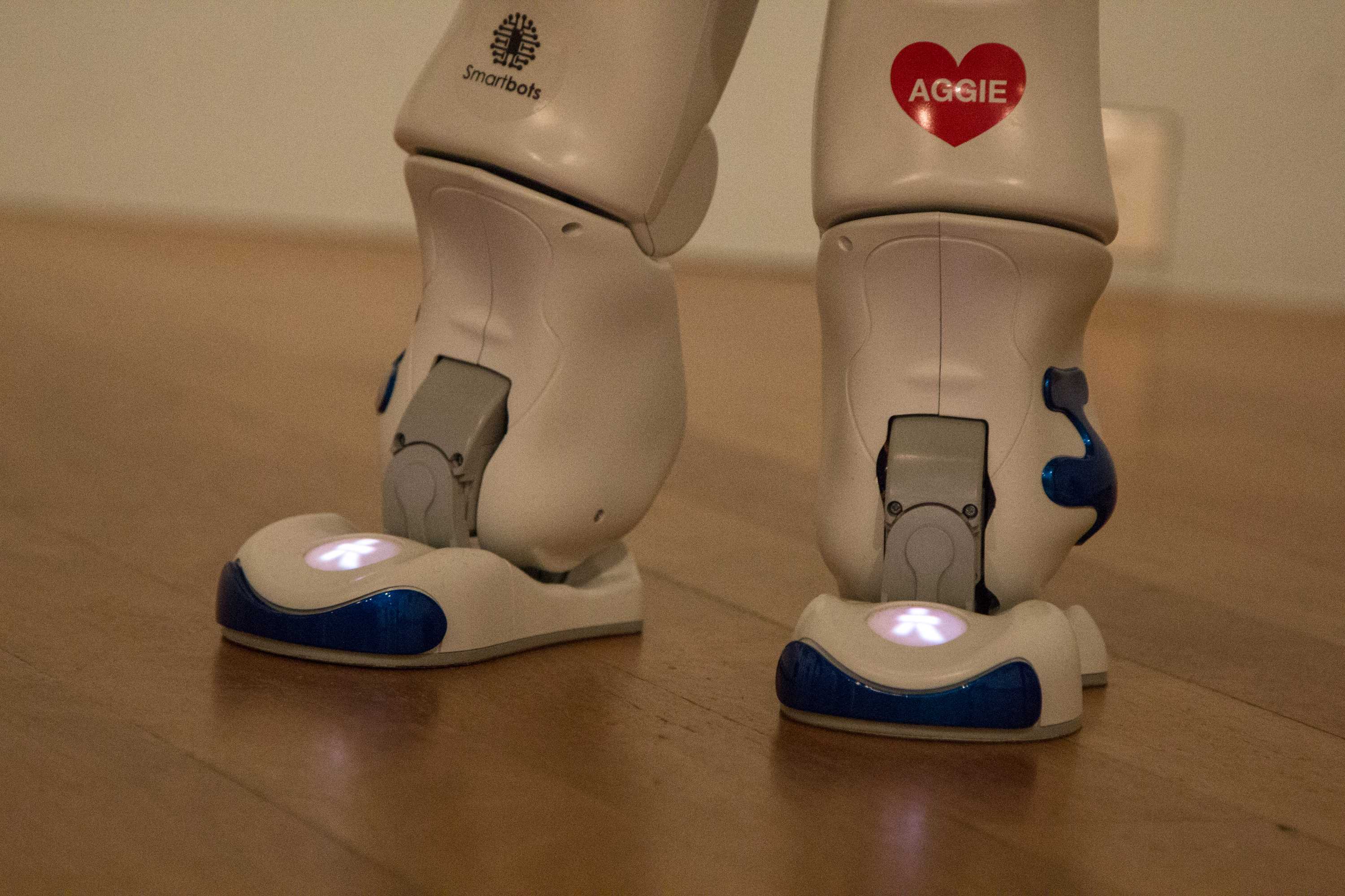 Art Gallery of WA enlists robot tour guide Aggie in bid to add fun to ...