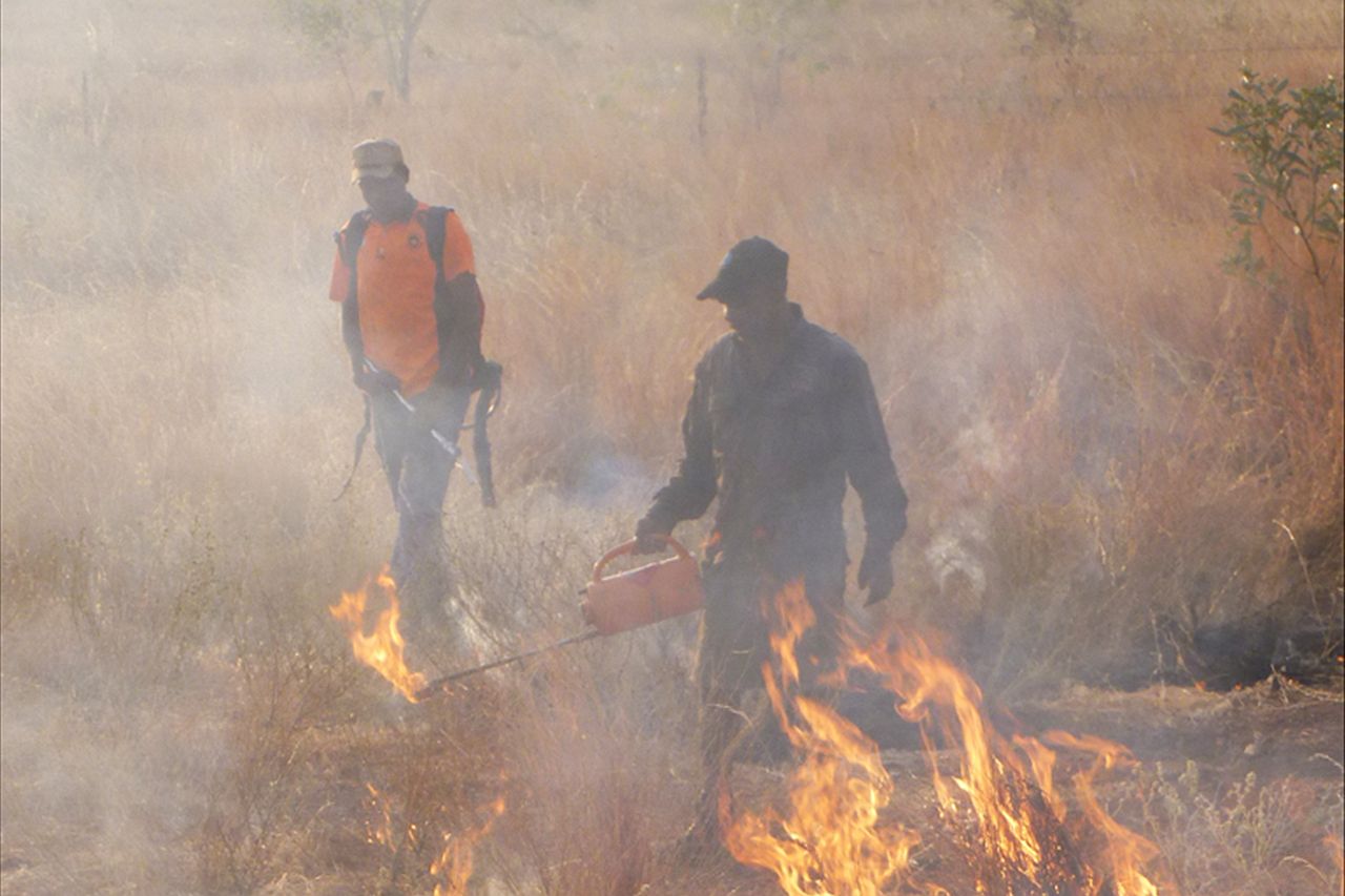 Indigenous fire project to earn carbon credits - ABC News