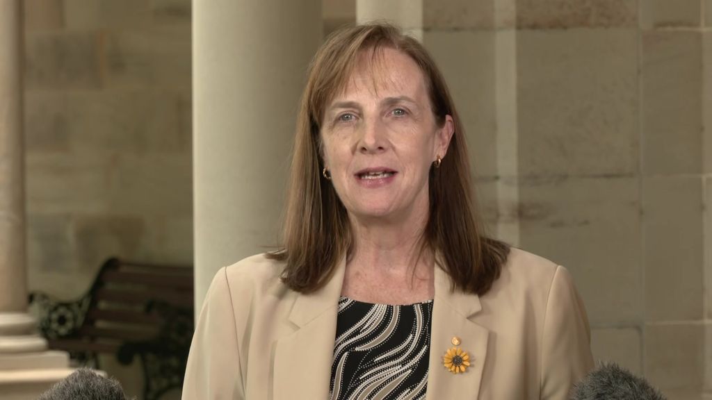 Allison Baden-Clay's sister on coercive control laws - ABC News
