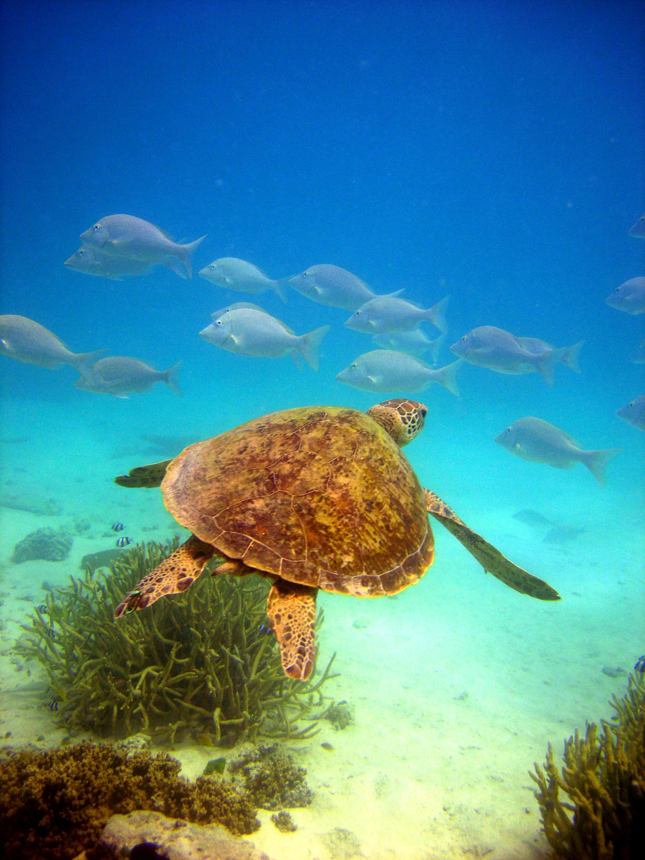 David Ritter - ABC News