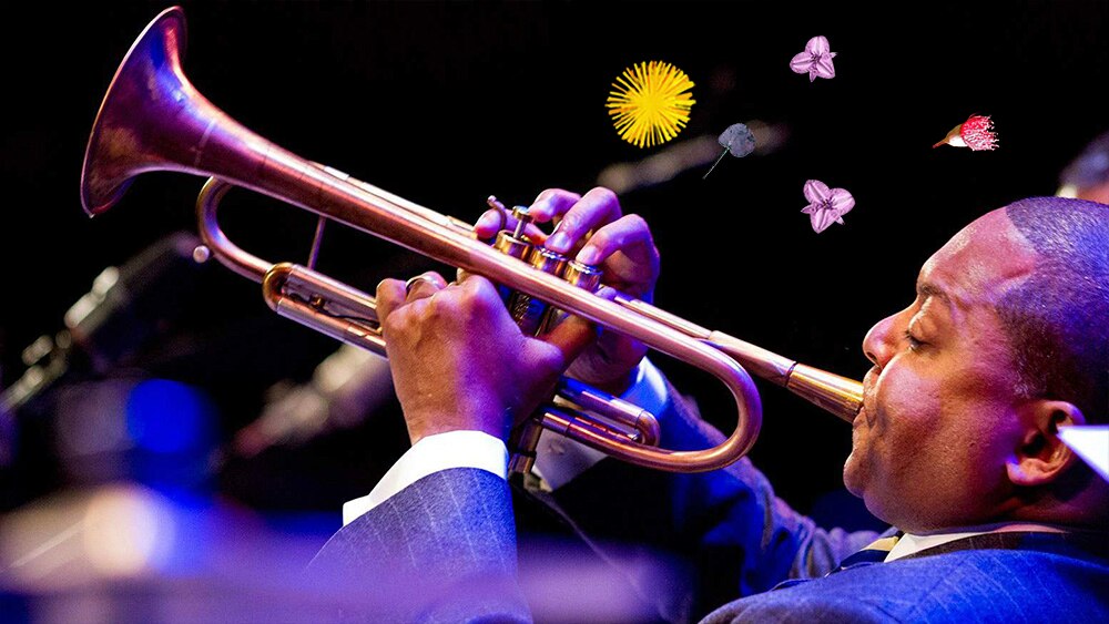 Jazztrack: Wynton Marsalis - ABC listen