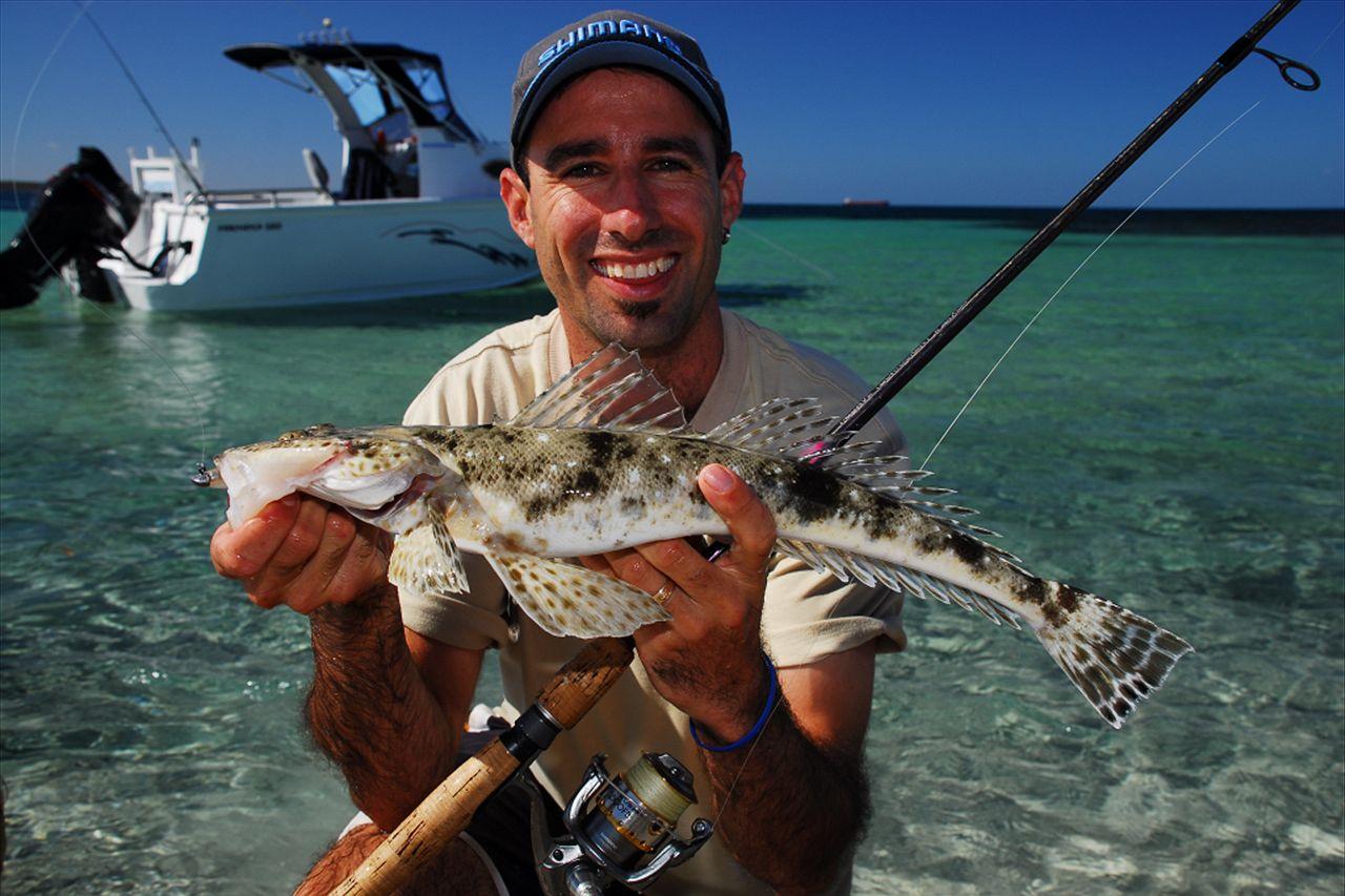 Captain Bligh's spicy flathead fillets - ABC Everyday