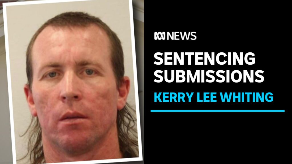 Court hears sentencing submissions for Kerry Lee Whiting - ABC News