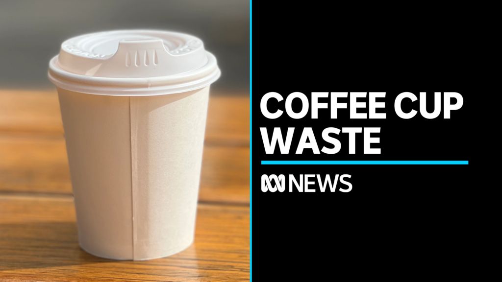 Tackling disposable cup waste - ABC News