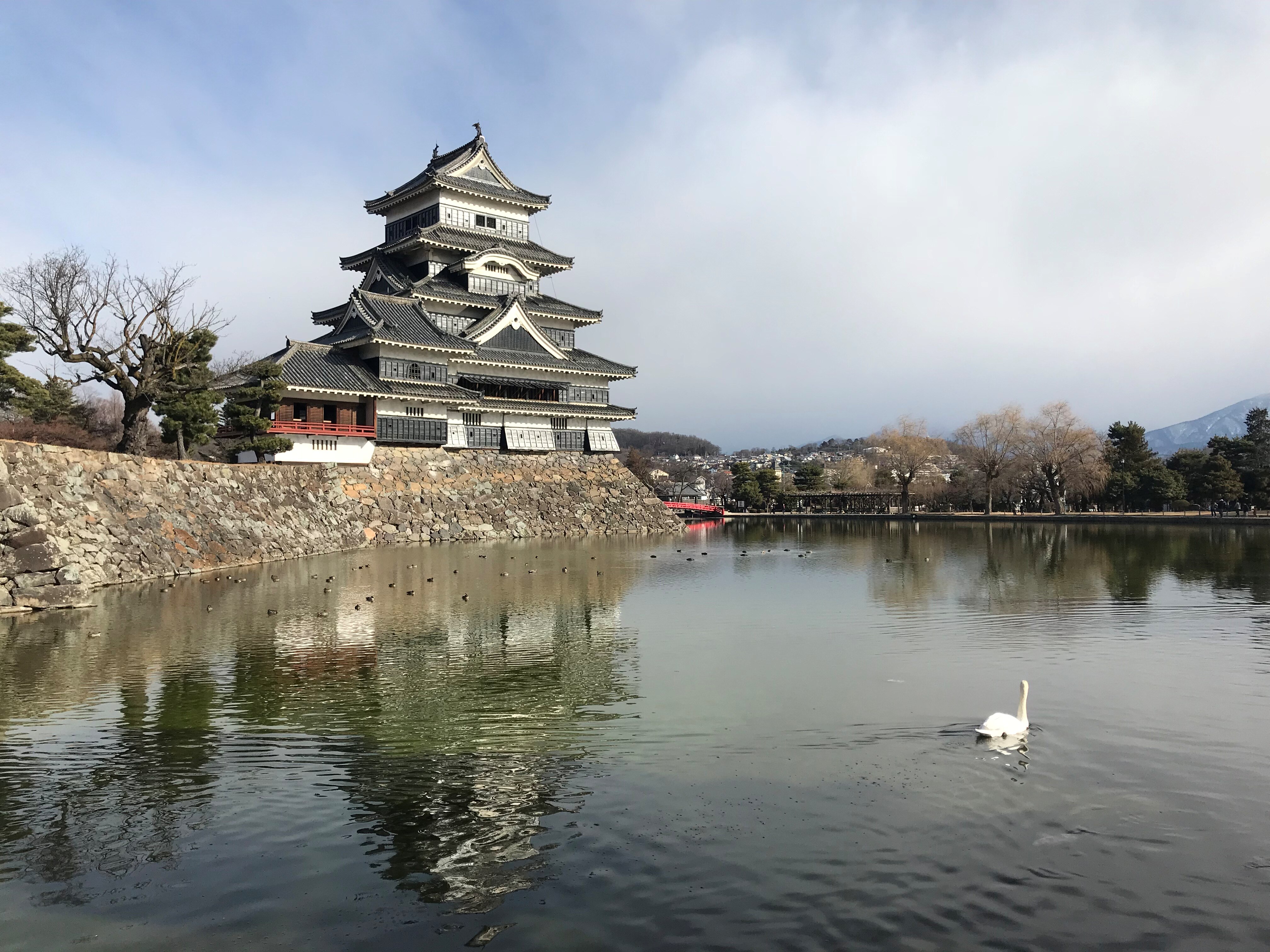 Australia and Japan reverse tourism relationship - ABC News