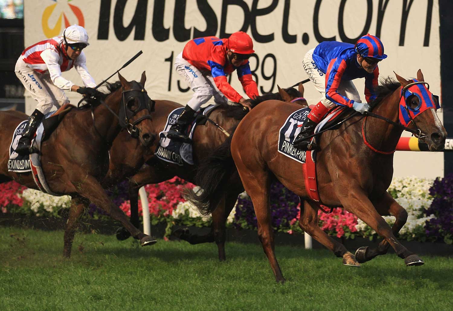 Pinker Pinker stuns in Cox Plate - ABC News