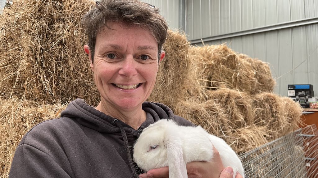 Rabbit rescuers urge people not to dump their bunnies. - ABC News
