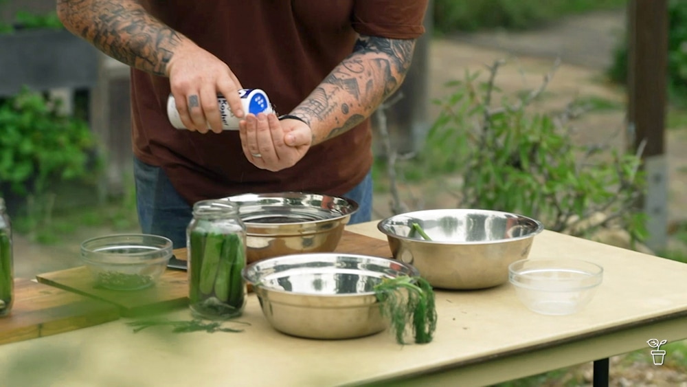 Farm to Feast | Kosher Pickle Recipe - Gardening Australia