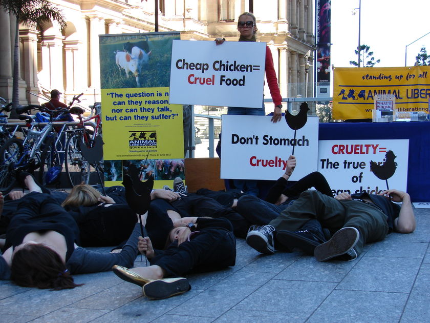 Better free range definition needed in NSW: Greens - ABC News