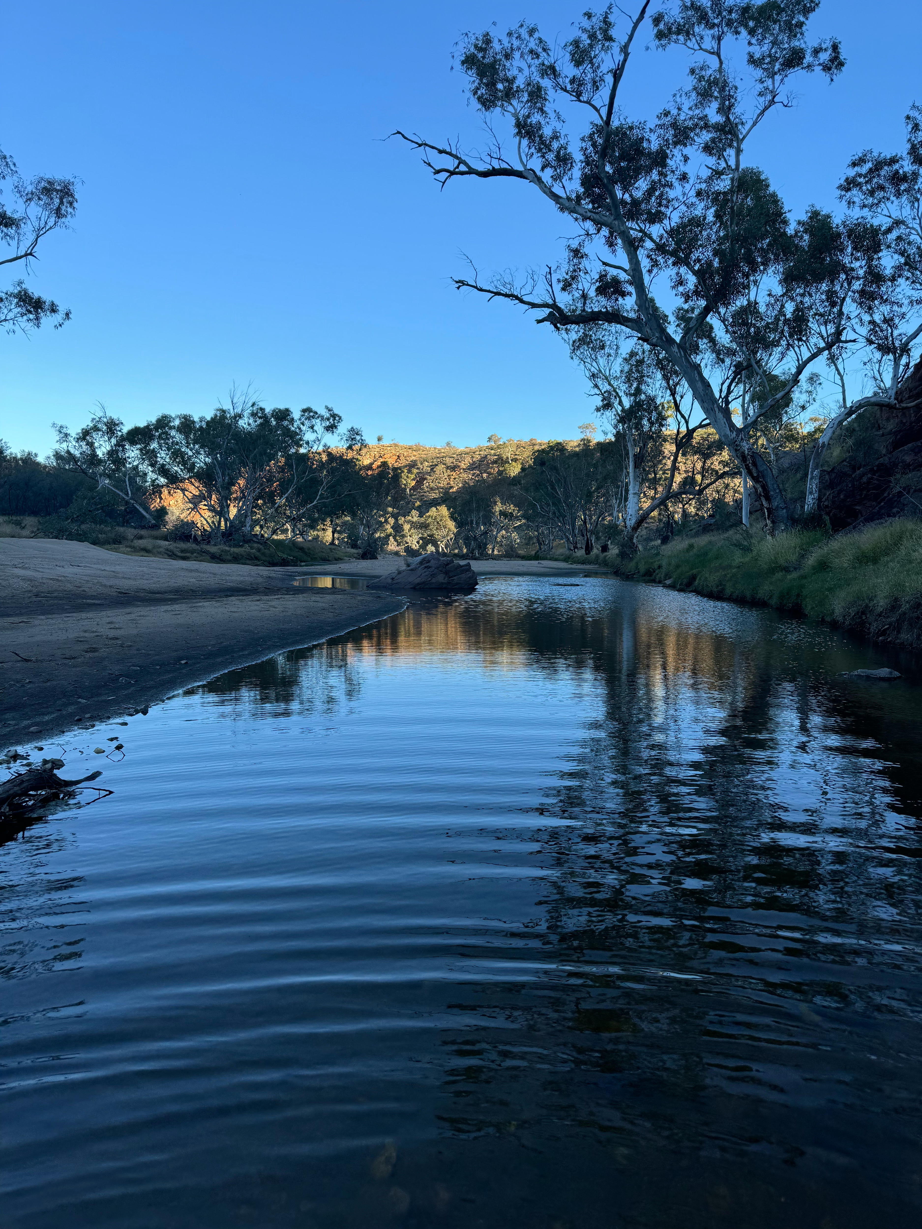 Larapinta Trail hiker rescued with half a cup of water a month after ...