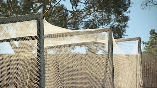 Plant Protection - Gardening Australia