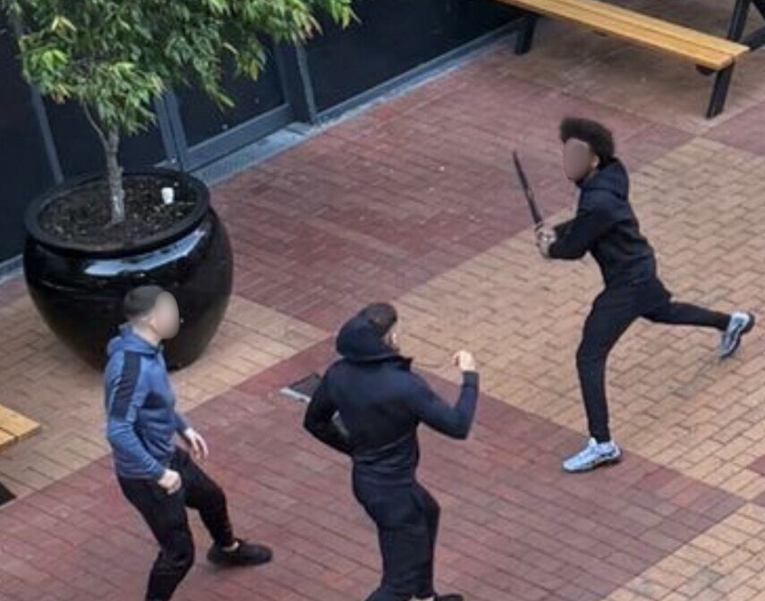 Blue Tree Project registers 1,100th tree to raise awareness of mental ...