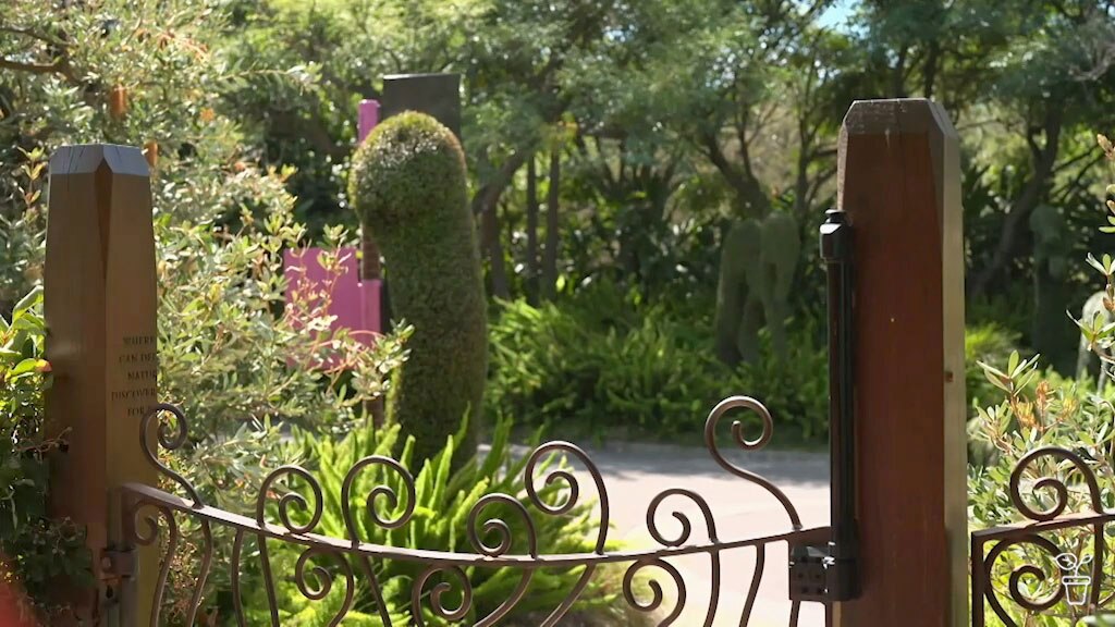Playful Plants - Gardening Australia