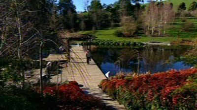 A Japanese Oasis - Gardening Australia
