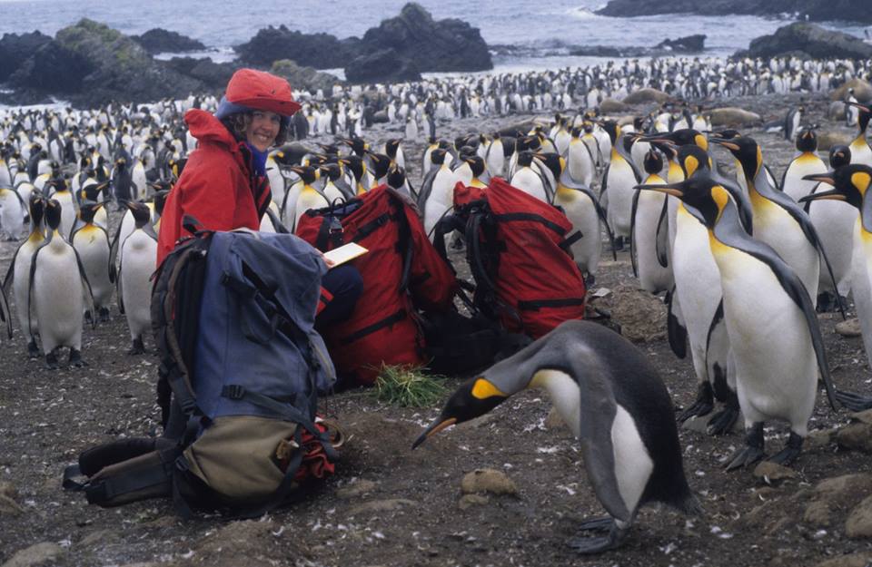 Ecosystems 'collapsing' around Australia and Antarctica - ABC listen