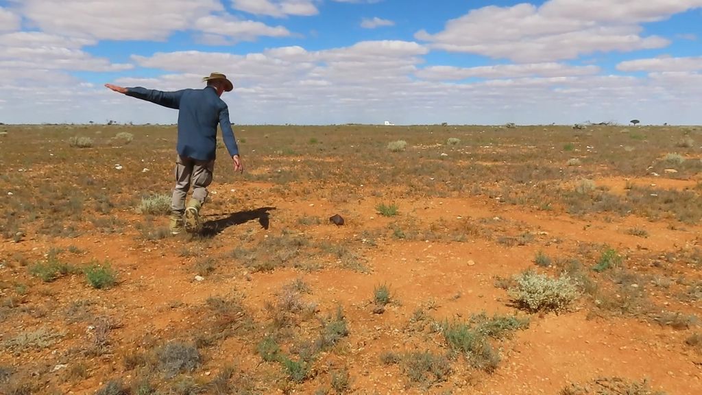 Meteorite hunter celebrates after finding new specimen in South ...