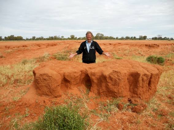 Soil conservation becoming the 'People's Choice' - ABC News