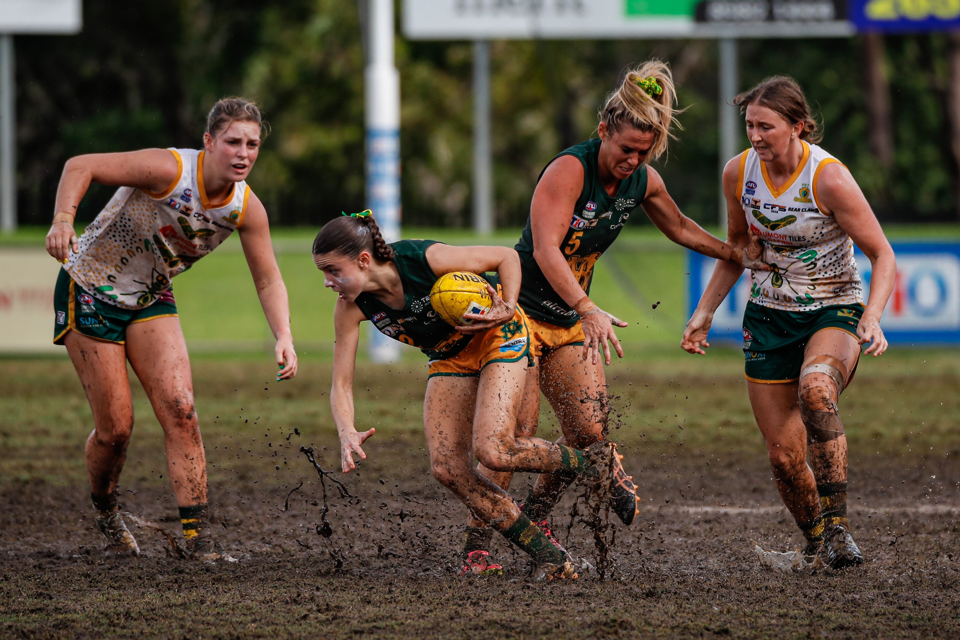 Race to turn Darwin 'buffalo wallow' back into grass in time for NRL ...