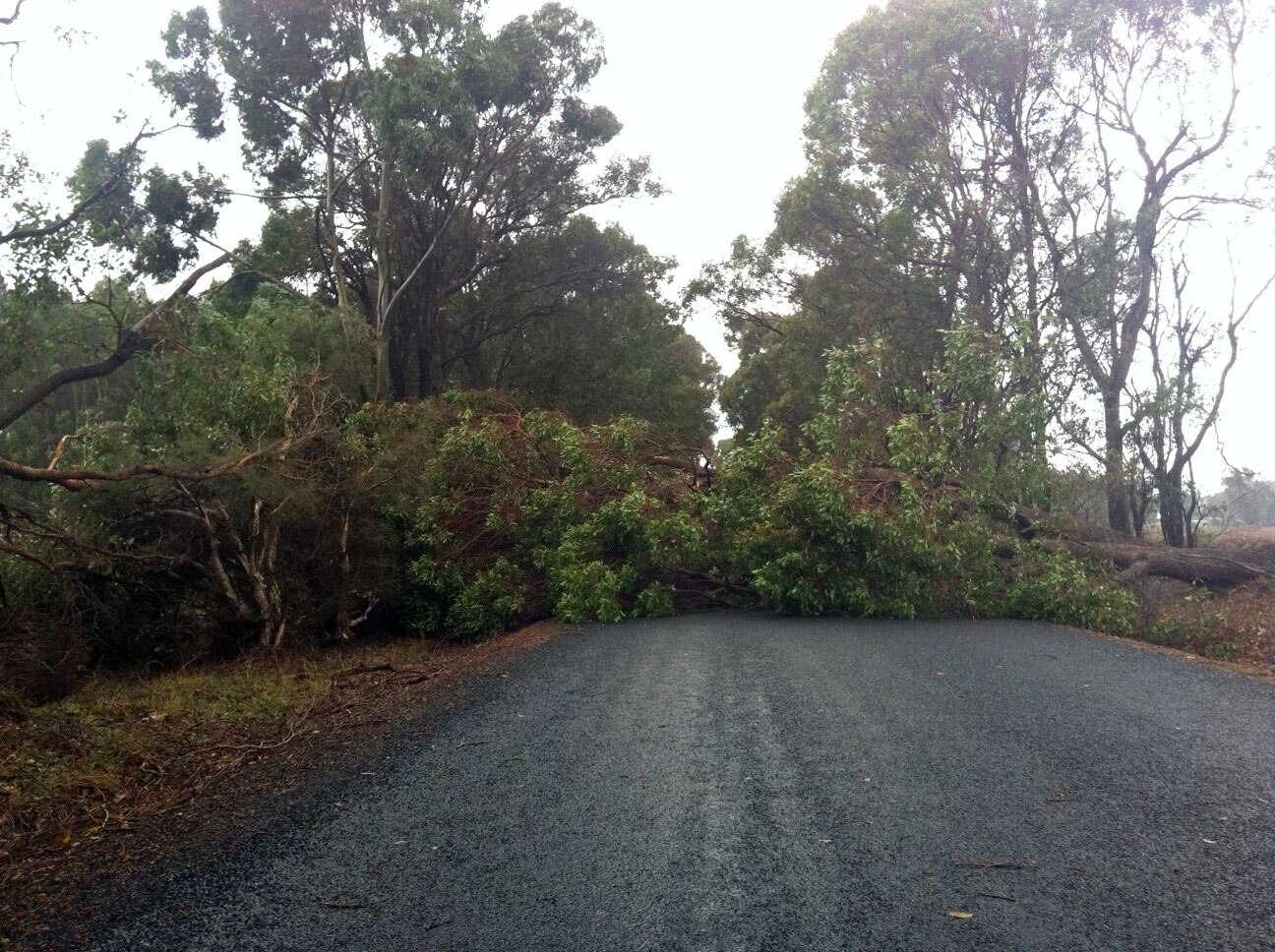 'Once in a decade' storm lashes south-west WA - ABC News