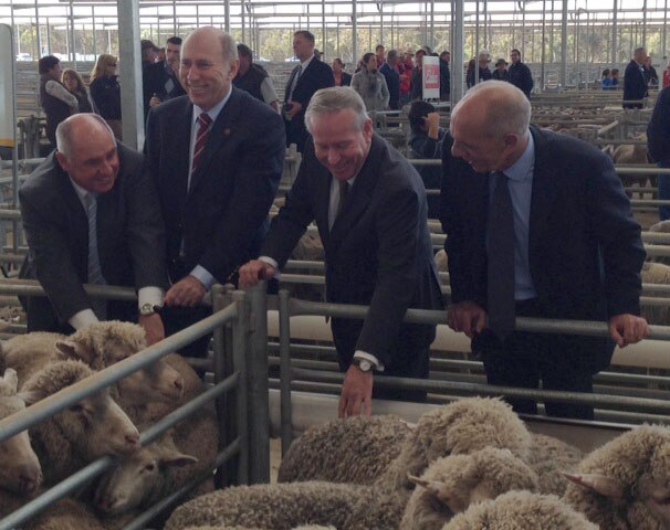 Katanning sheep saleyards a 'show of confidence' in WA industry ...