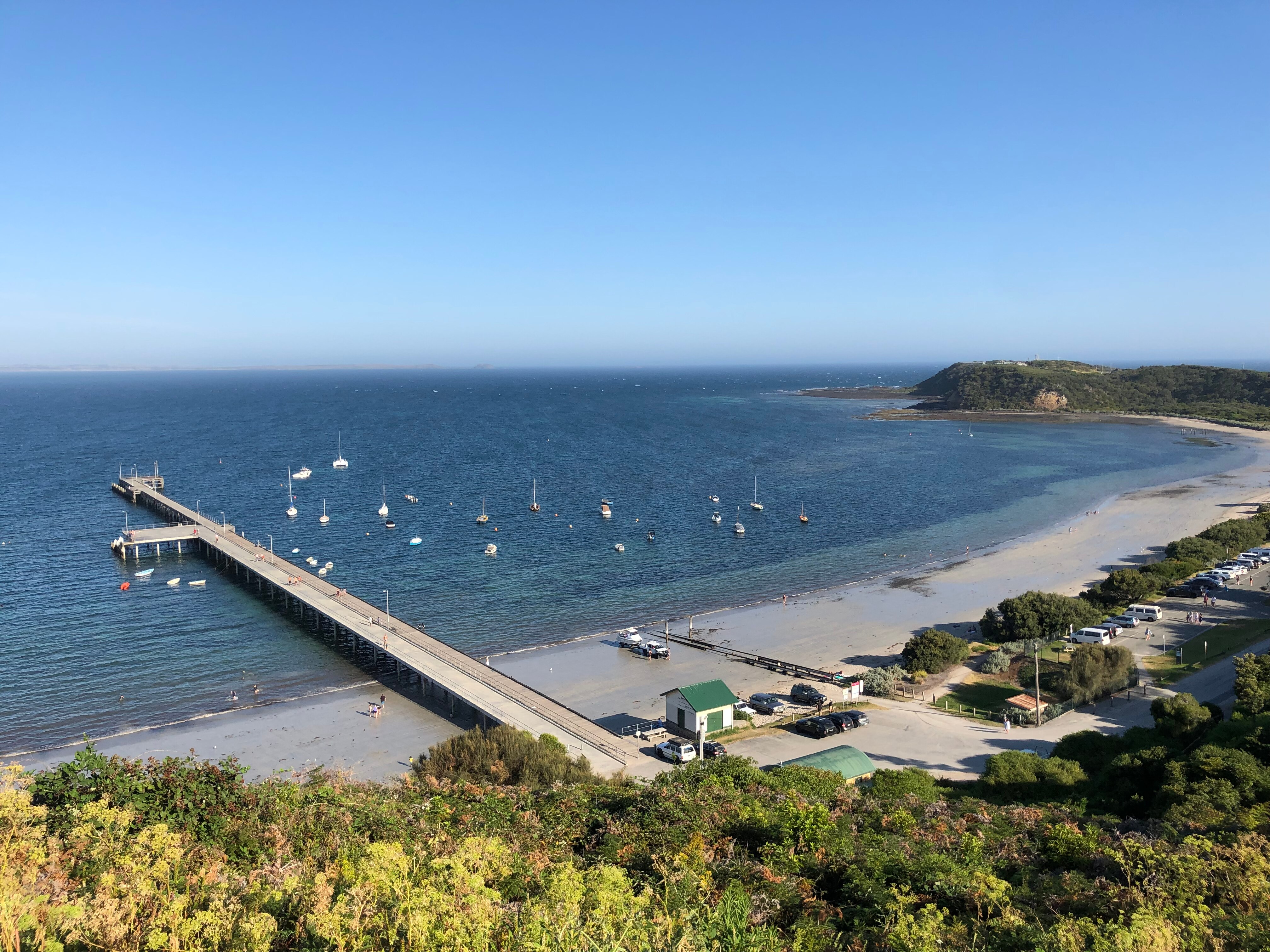 Sir David Attenborough backs weedy seadragon in Victorian community's ...