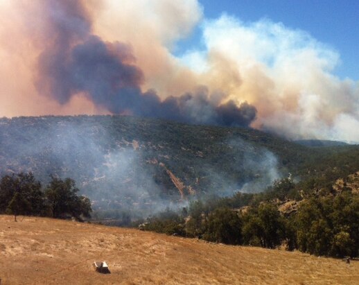 Crews battle to control bushfire near Perth - ABC News