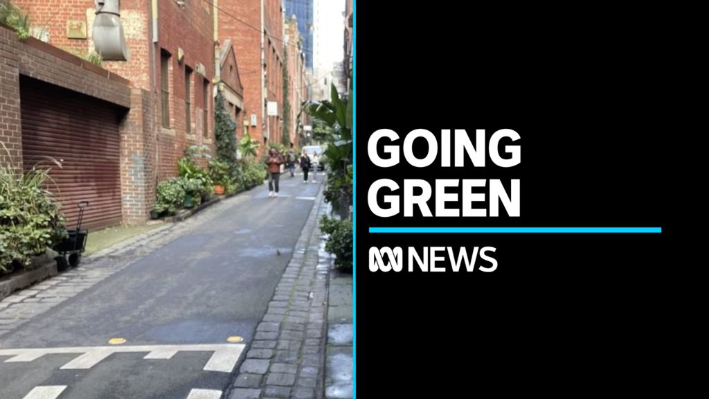 Melbourne's famous laneways going green with new biodiversity plan ...