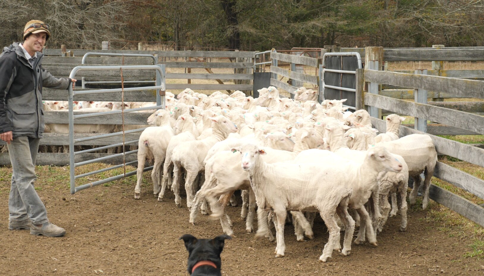 Australian Farmer of the Year Michael Taylor shows how farming ...