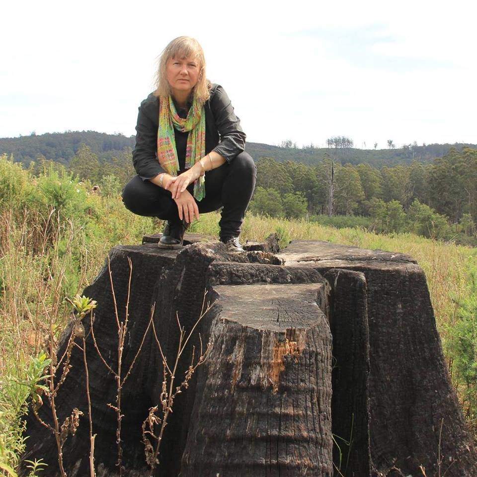 Victorian Greens' election woes not due to preference deals alone ...