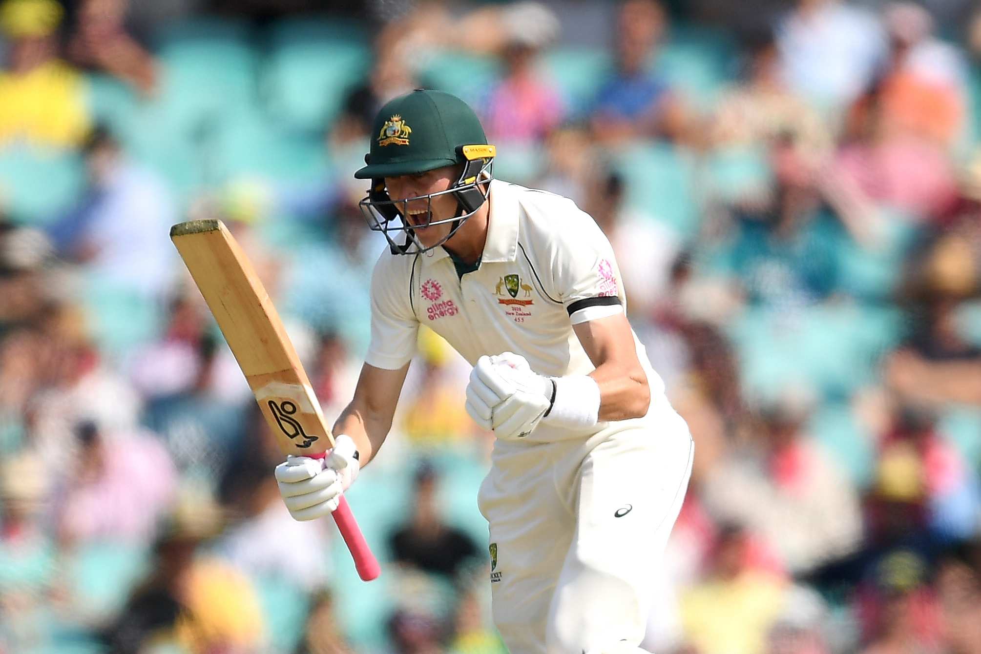 The third Test between Australia and New Zealand and how day one at the ...