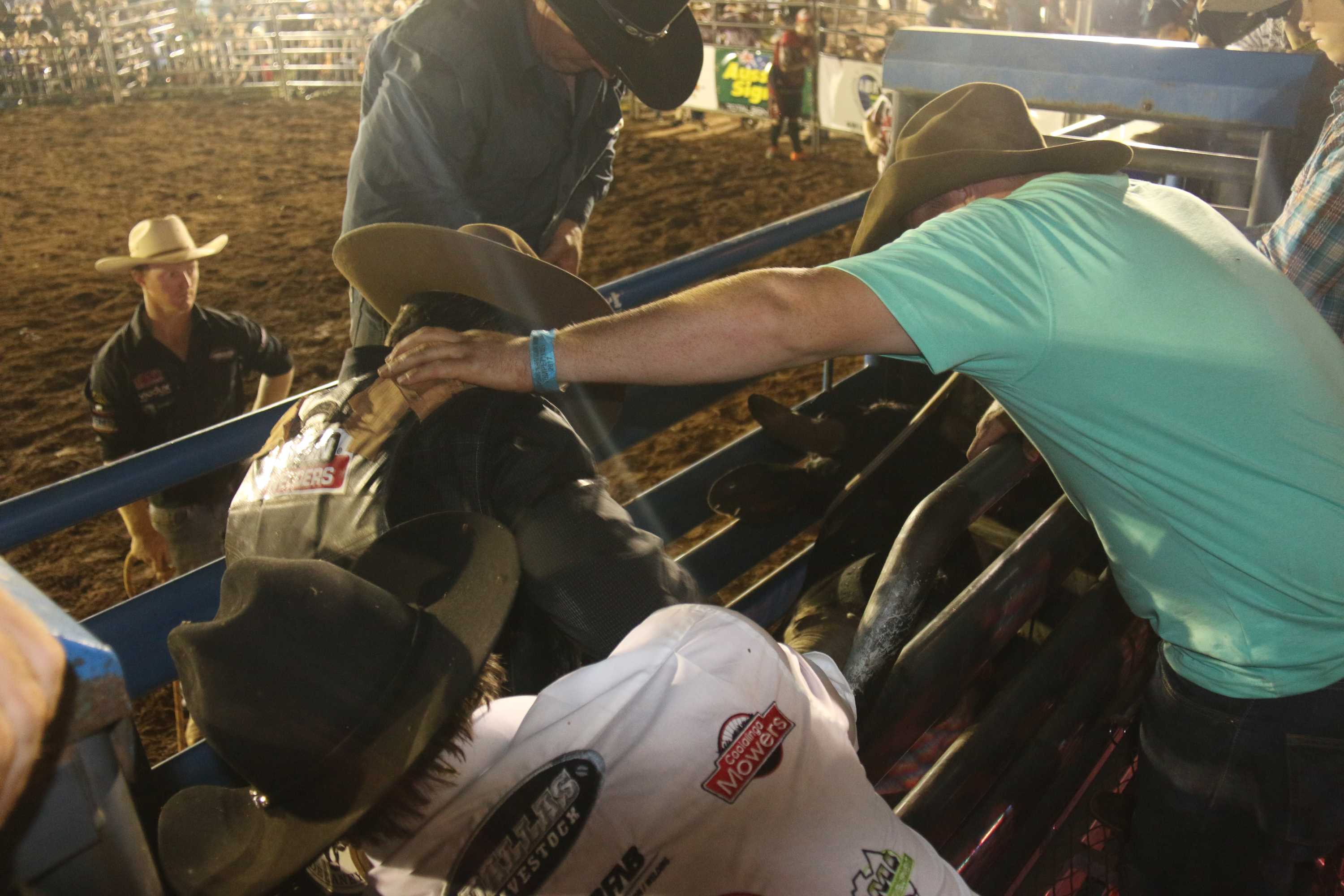 Guns N' Roses, Top End's most notorious bull, still king after Darwin's ...