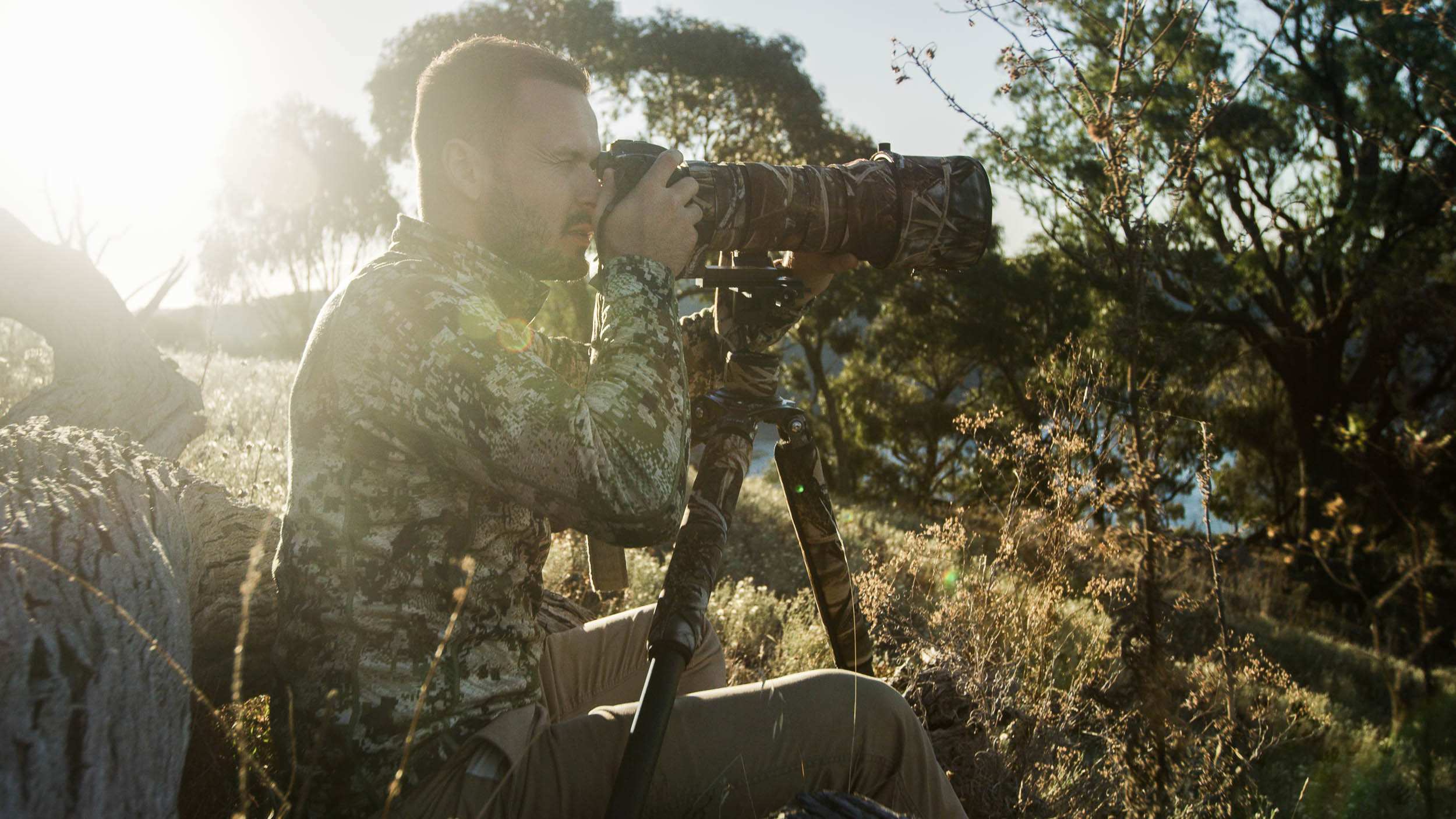 Puma sightings reported in Australia inspire big cat documentary by ...