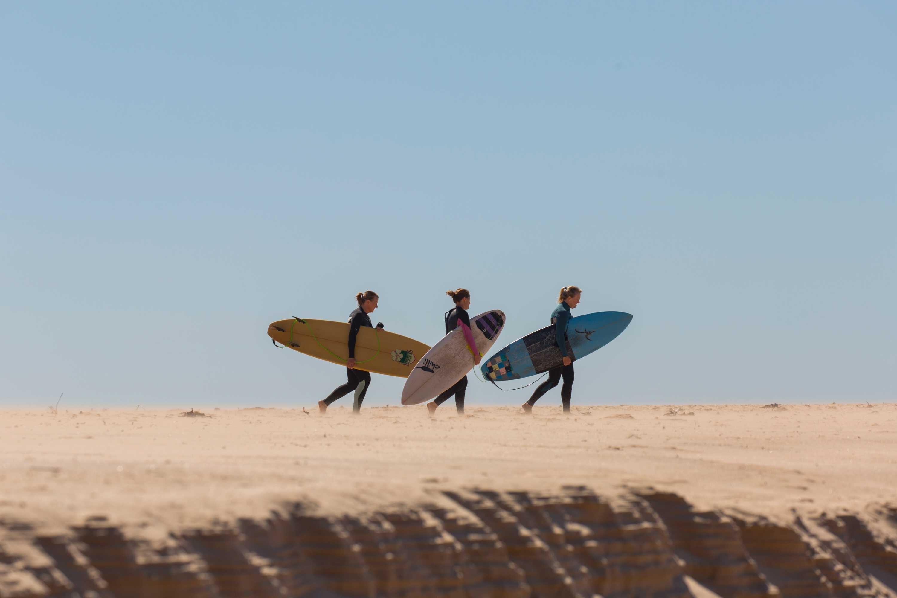 All that lives beneath the sand - ABC listen