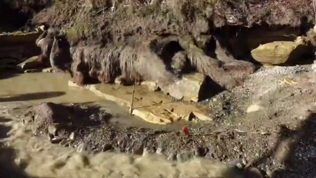 Researchers remove the rare moa footprints - ABC News