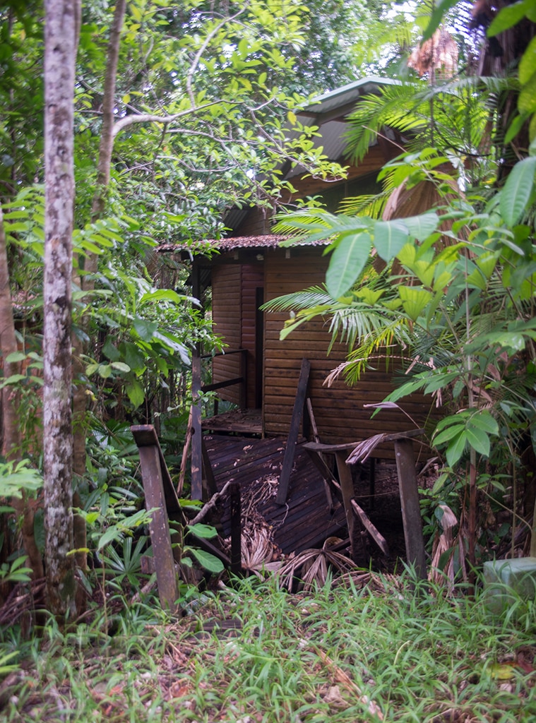 Photographer documents rainforest's reclamation of abandoned resort ...