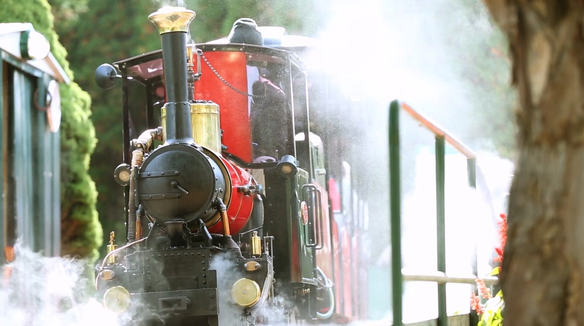 Four injured after miniature steam train derails at Canberra attraction ...