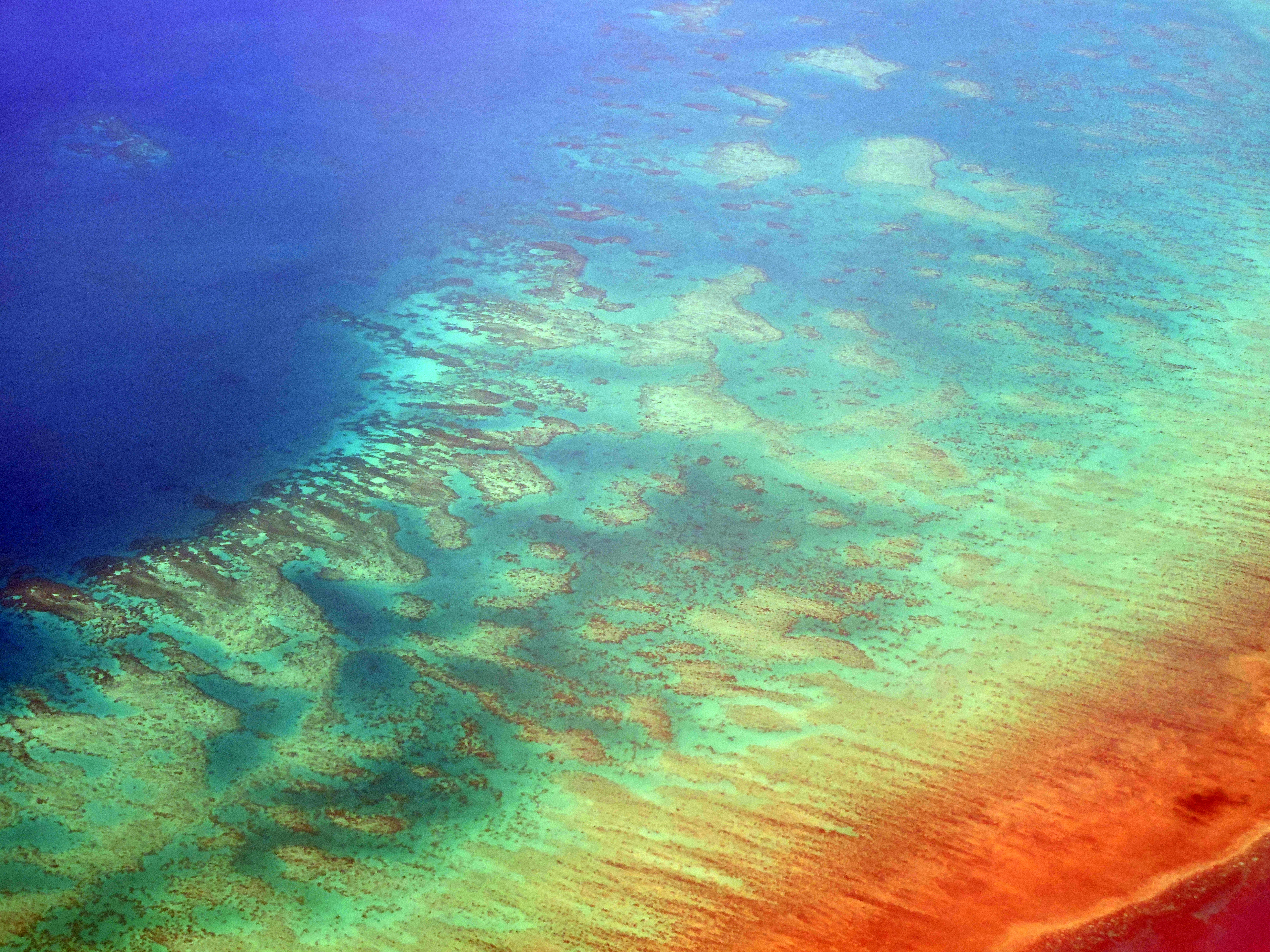 Why do we care if a species becomes extinct? - ABC Religion & Ethics