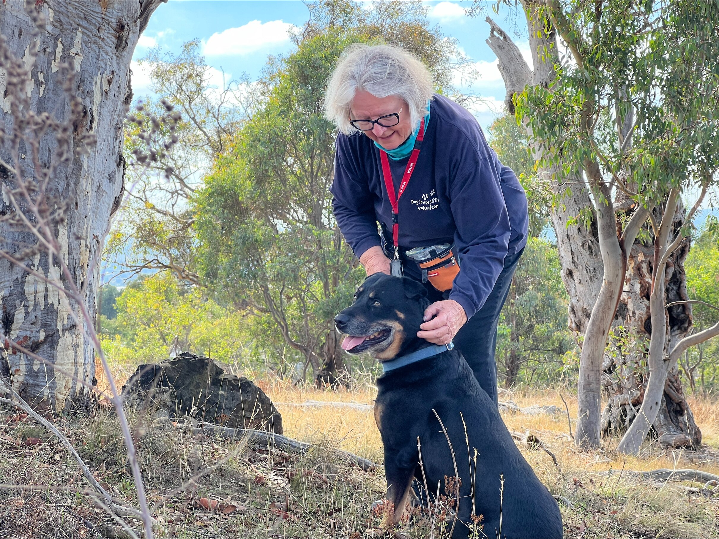 Former diplomat Di Johnstone was Canberra pound's first volunteer two ...