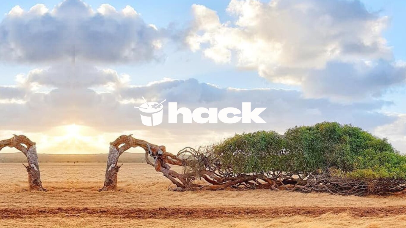 What it's like living in a really windy town - triple j