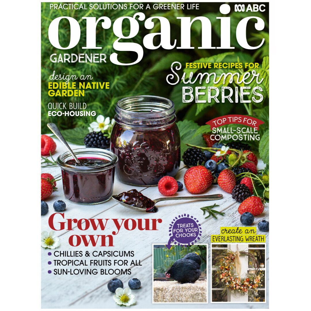 Magazines - ABC Shop