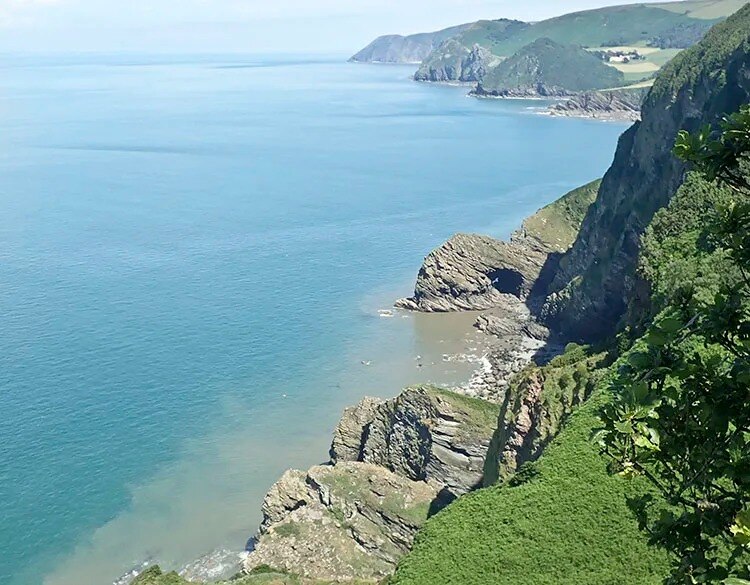 World's earliest forest — dating back 390 million years — discovered on ...