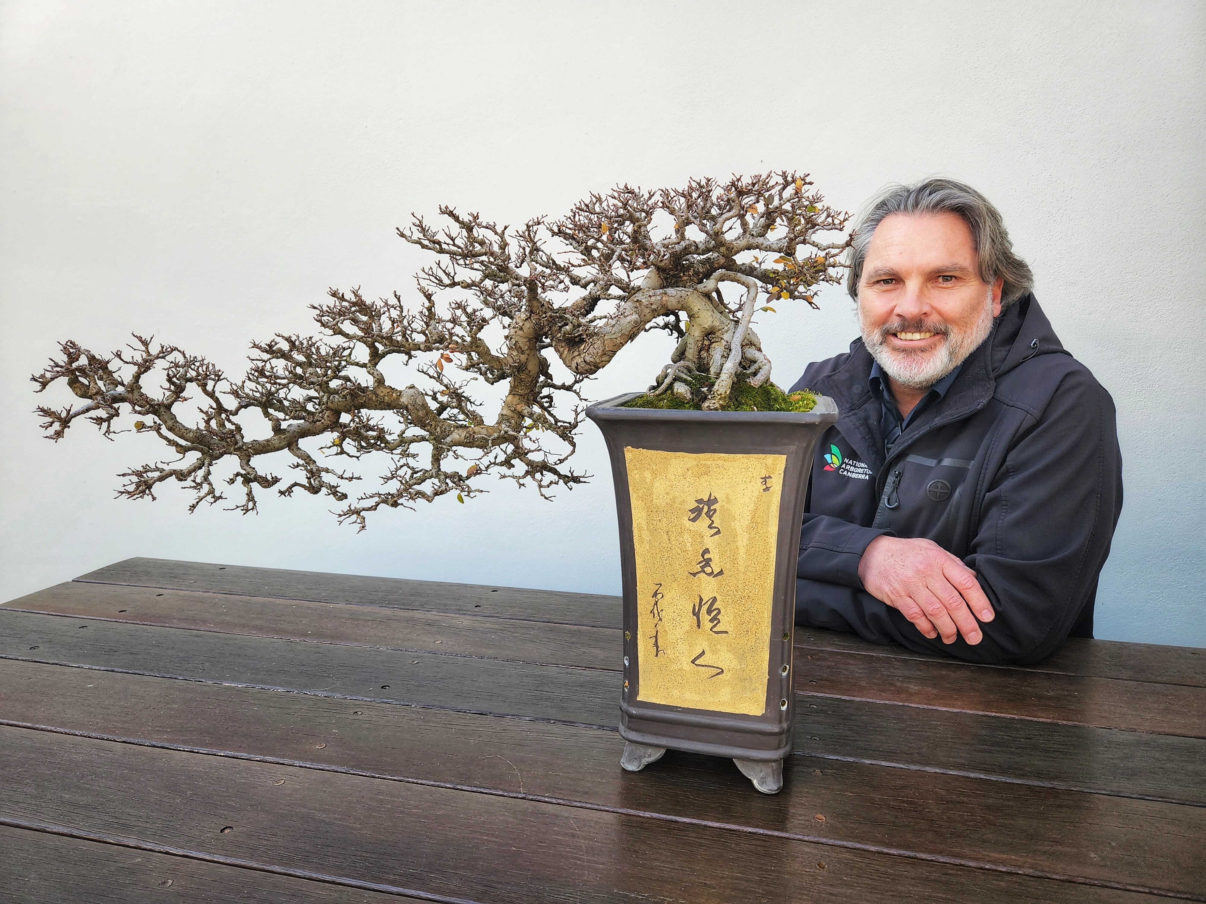 A love for the little things: Bonsai - ABC listen