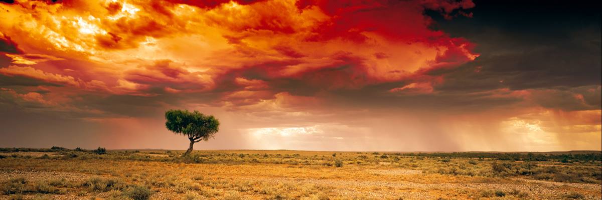 Peter Lik: Who is the record-breaking photographer behind the $7.8m ...