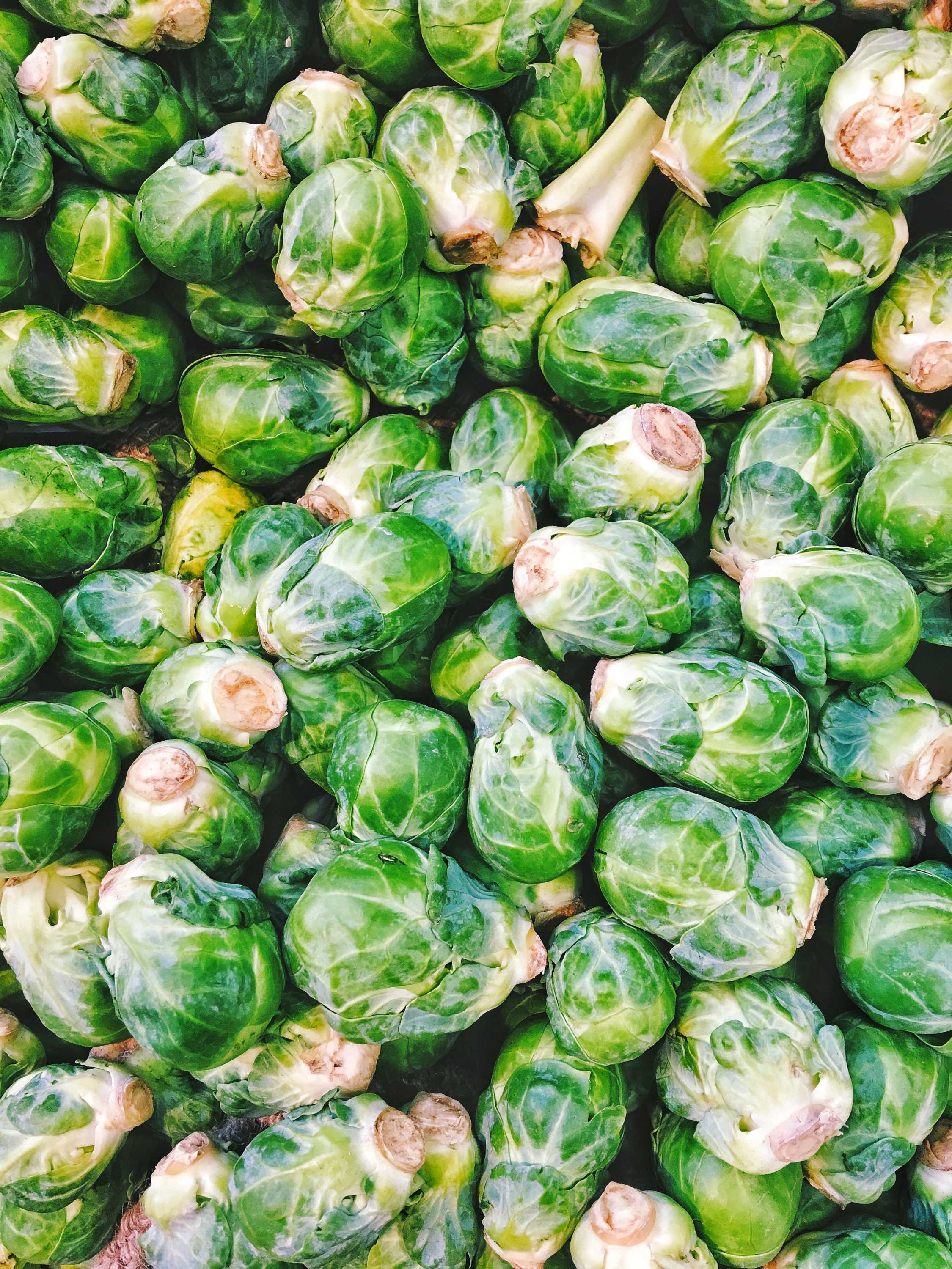 Foodie Tuesday: Brussels Sprouts - ABC Melbourne