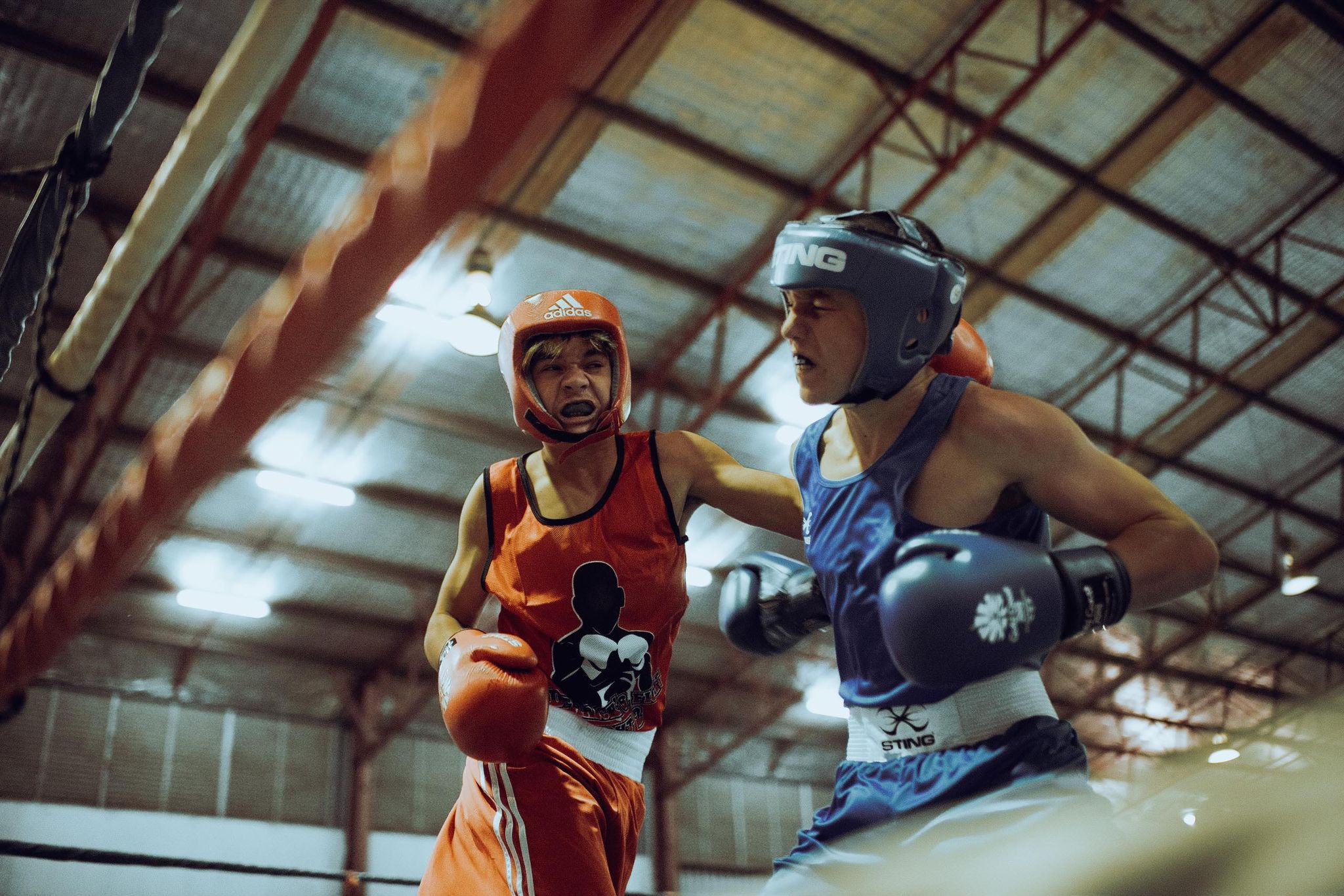 Apprenticeships - Topic - ABC News