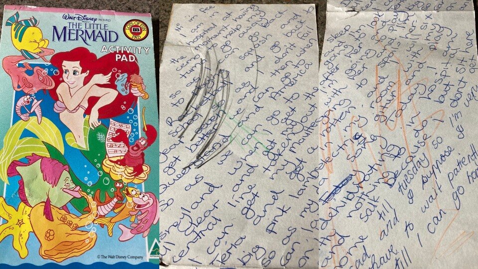 Fiona Elsey Cancer Research Institute ball raises $220,000 to honour ...