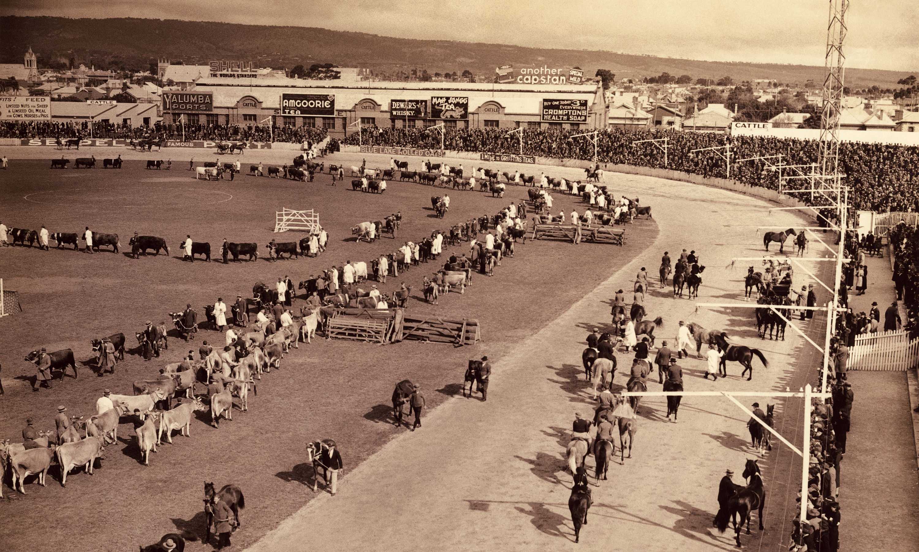 Six things you should know about the Royal Adelaide Show - ABC News