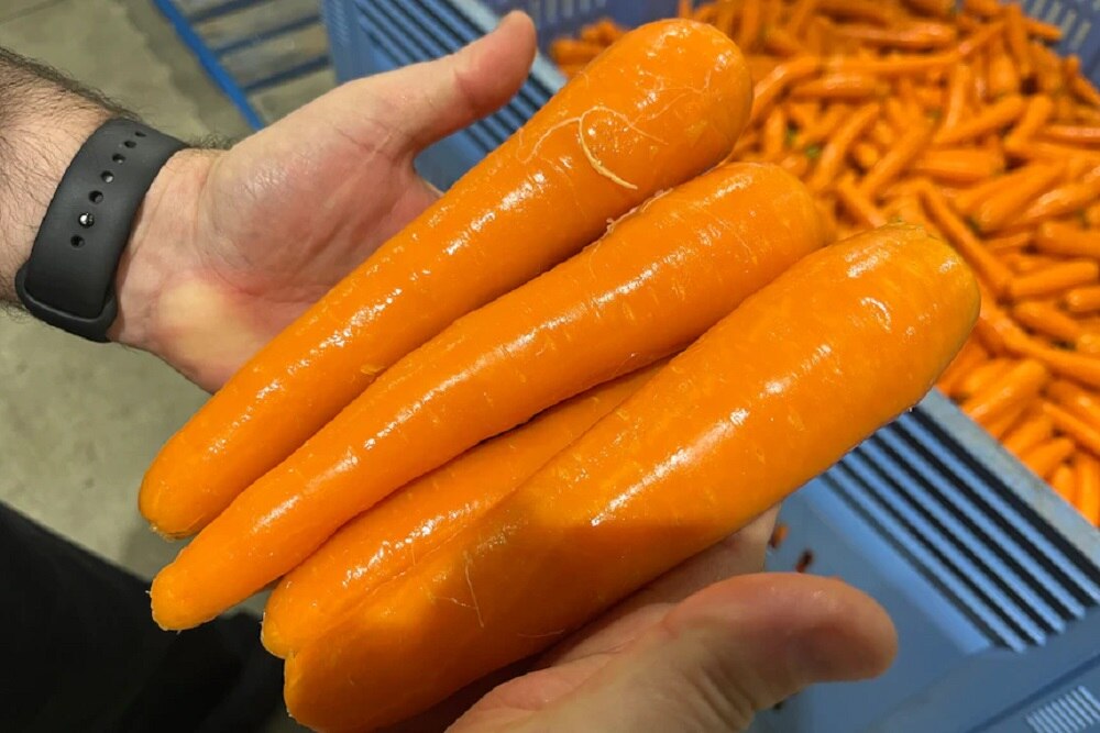 ABC Rural - ABC News