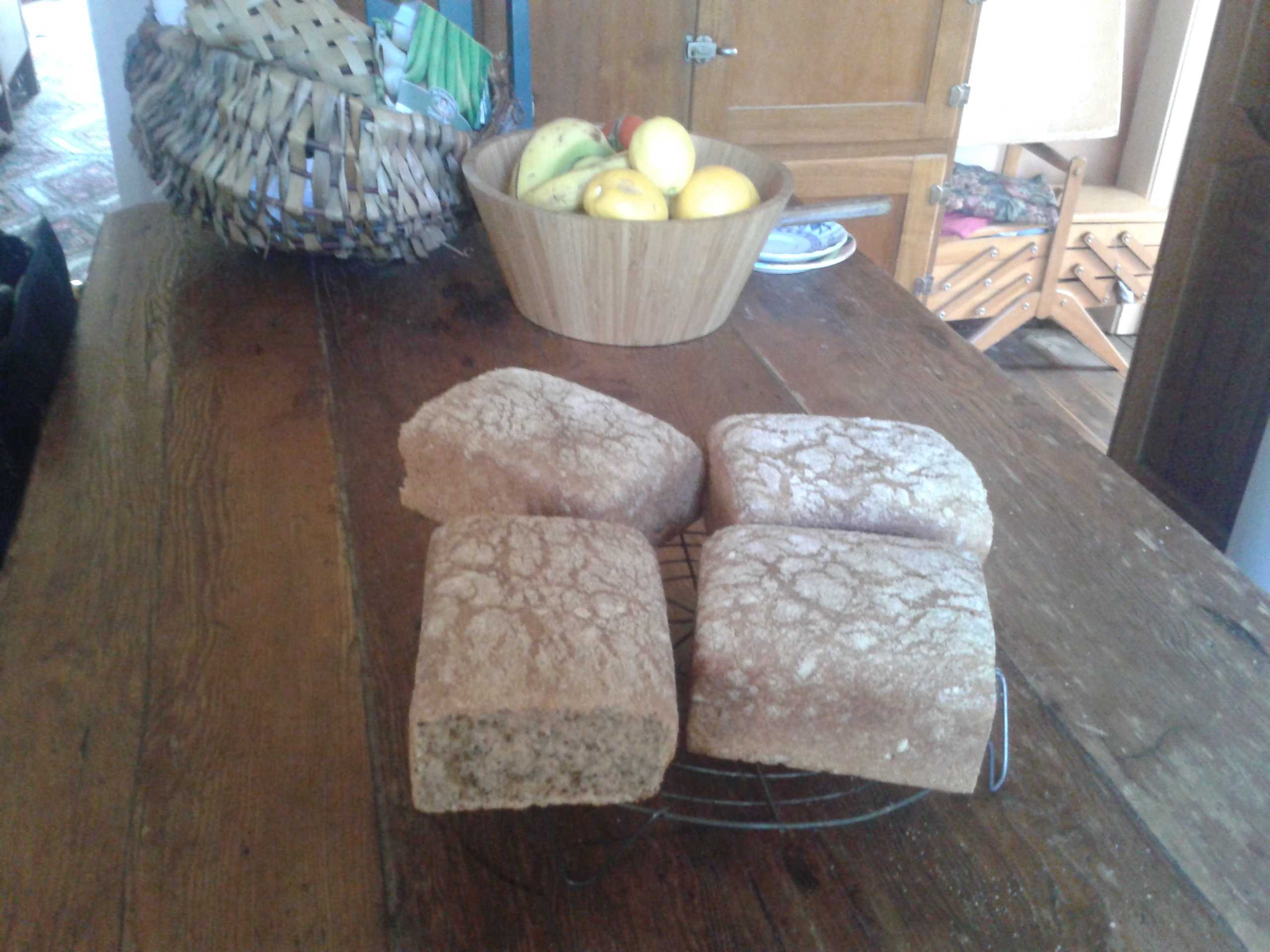 Masterclass: How to make sourdough bread - ABC listen