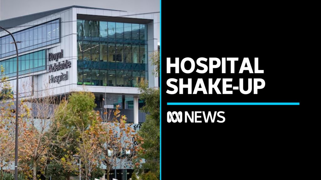 SA Health unveils plan to make extra hospital beds available in ...